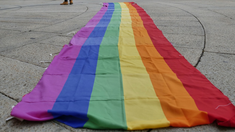 Verona, studente di 13 anni "contrario ai valori Lgbt" si arrampica ...