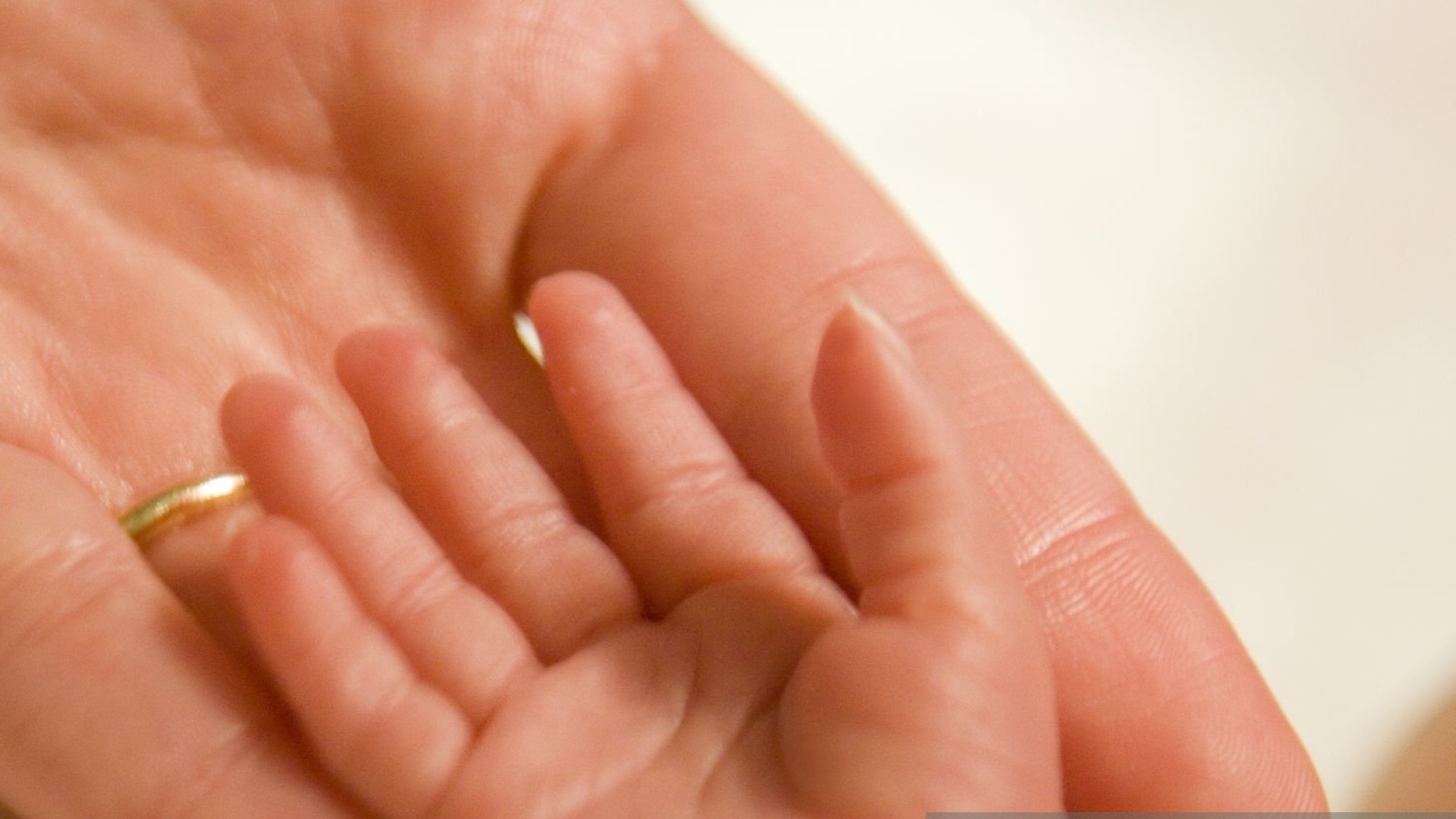 Indi Gregory, stop alle macchine che la tengono in vita dalle 12, ora ...