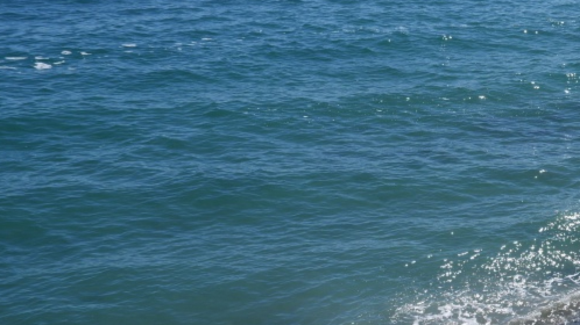 Venezia, la 17enne morta dopo essere scivolata dal catamarano era al ...