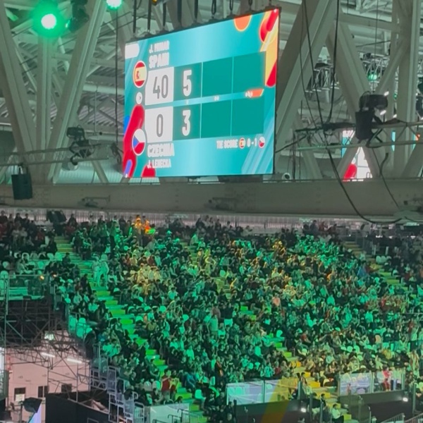 Coppa Davis, un amore di punto. Bologna offre l’arena della Virtus al ...