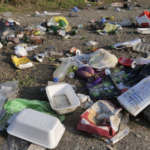 Cresce la raccolta differenziata in Italia, che raggiunge il 67% nel 2023, ma non tutte le ...