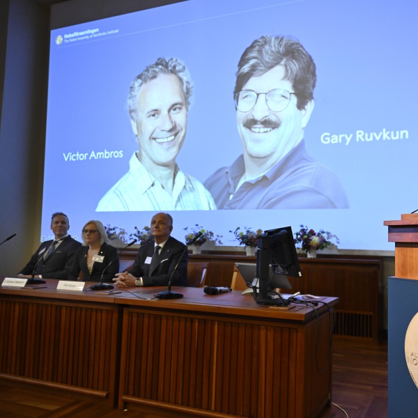 Il Premio Nobel per la Medicina assegnato agli scienziati Victor Ambros e Gary Ruvkun - RTL 102.5