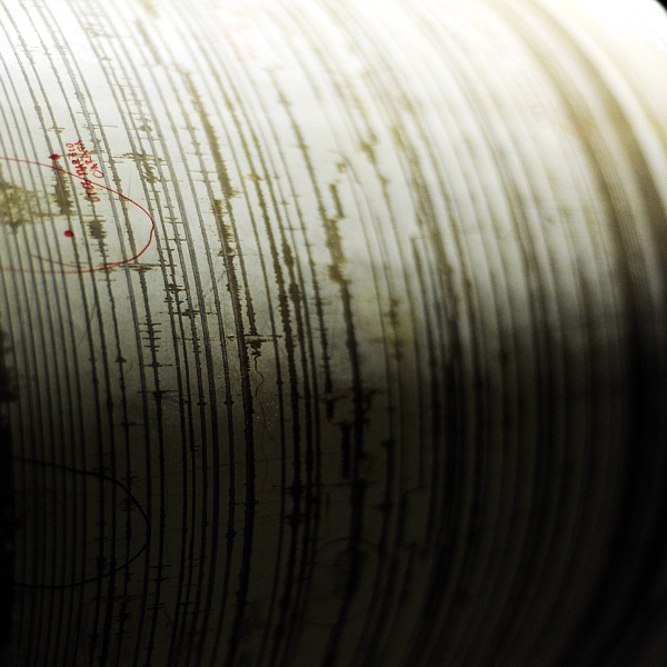 L’Intelligenza artificiale trasforma i terremoti in musica, il progetto ...