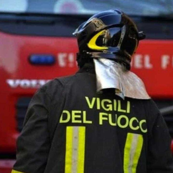 Tragedia a Bertinoro in provincia di Forlì: un silos crolla su auto. Muoiono tre fratelli, il ...