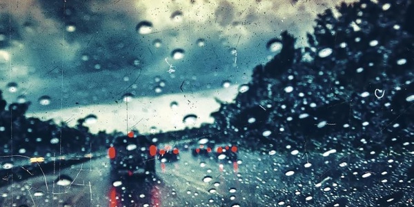 I libri più interessanti della settimana, tra “Verso un probabile ...