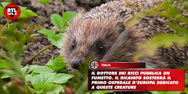 Il dottore dei ricci pubblica un fumetto. Il ricavato sosterrà il primo ...