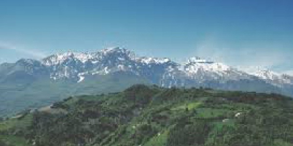 Don Mazzi dà i numeri: Don Mazzi dà i numeri - RTL 102.5 Play