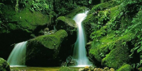 Don Mazzi dà i numeri: Don Mazzi dà i numeri - RTL 102.5 Play