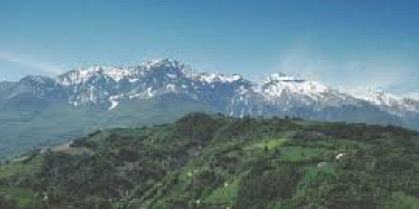 Don Mazzi dà i numeri: Don Mazzi dà i numeri - RTL 102.5 Play