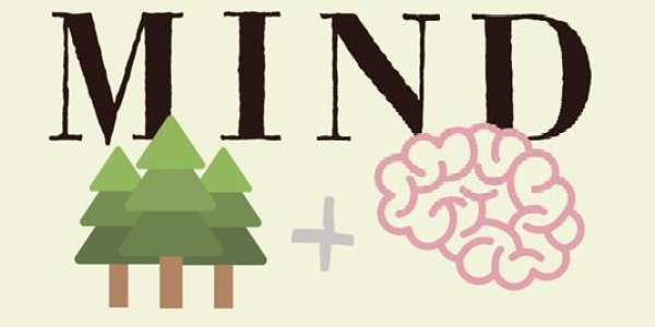 Andrea Bariselli, A wild mind - RTL 102.5 Play