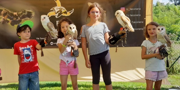 Il mondo della Falconeria: come nasce e com'è cambiato negli anni - RTL ...